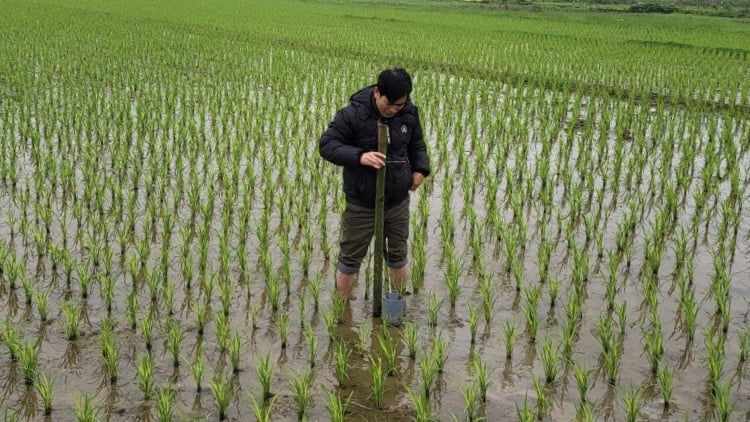 Piloting technology to measure, report and verify emissions reductions ...